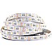4-In-1 Chip Color-Changing 24V RGBW LED Strip Lights 5M/Roll