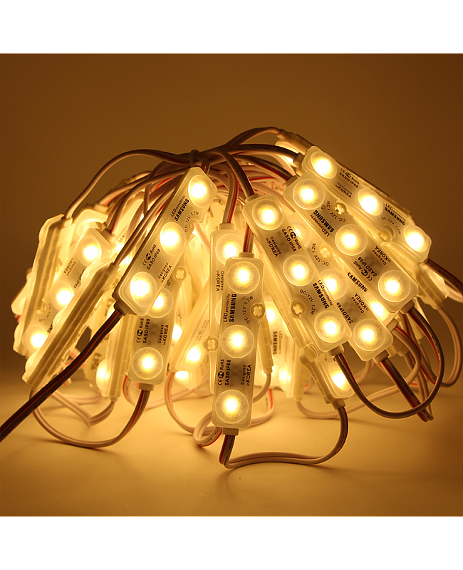 IP68 Waterproof High Light LED Modules With Lens