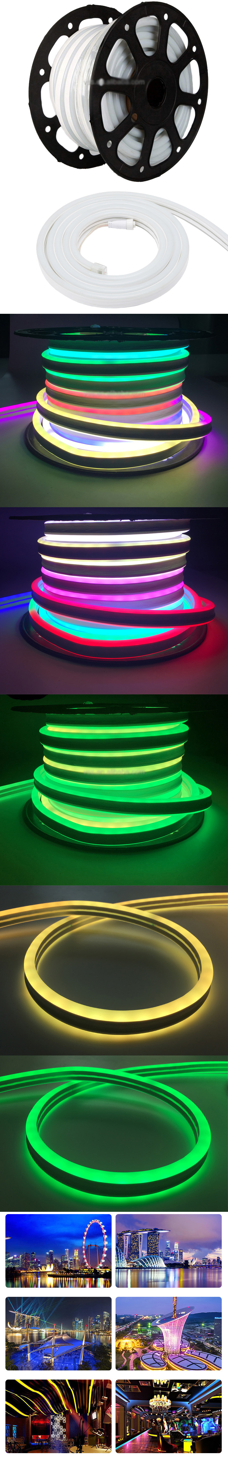 12V 5050 Addressable Neon LED Light Strips